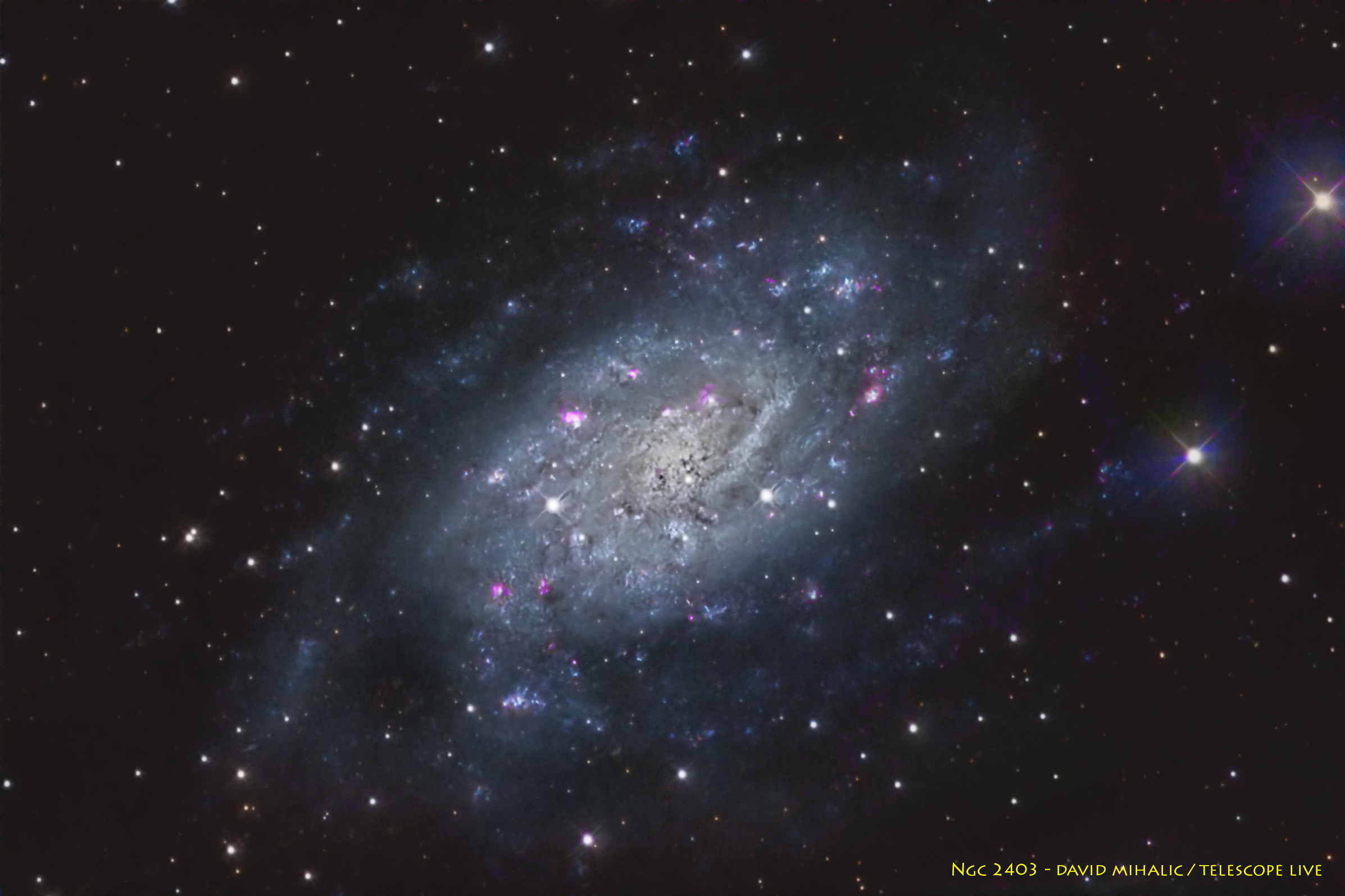 NGC 2403 in Camelopardalis | Telescope Live